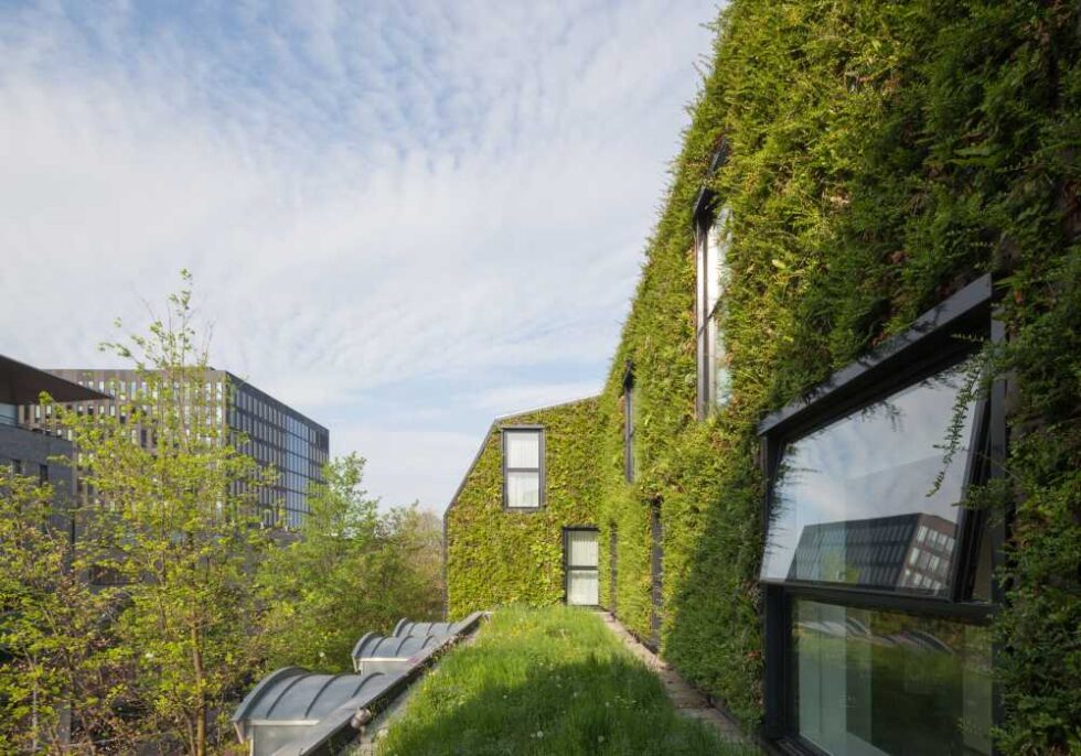Sempergreen: Innovative Flexipanel A2 resists fire and heavy wind loads ...