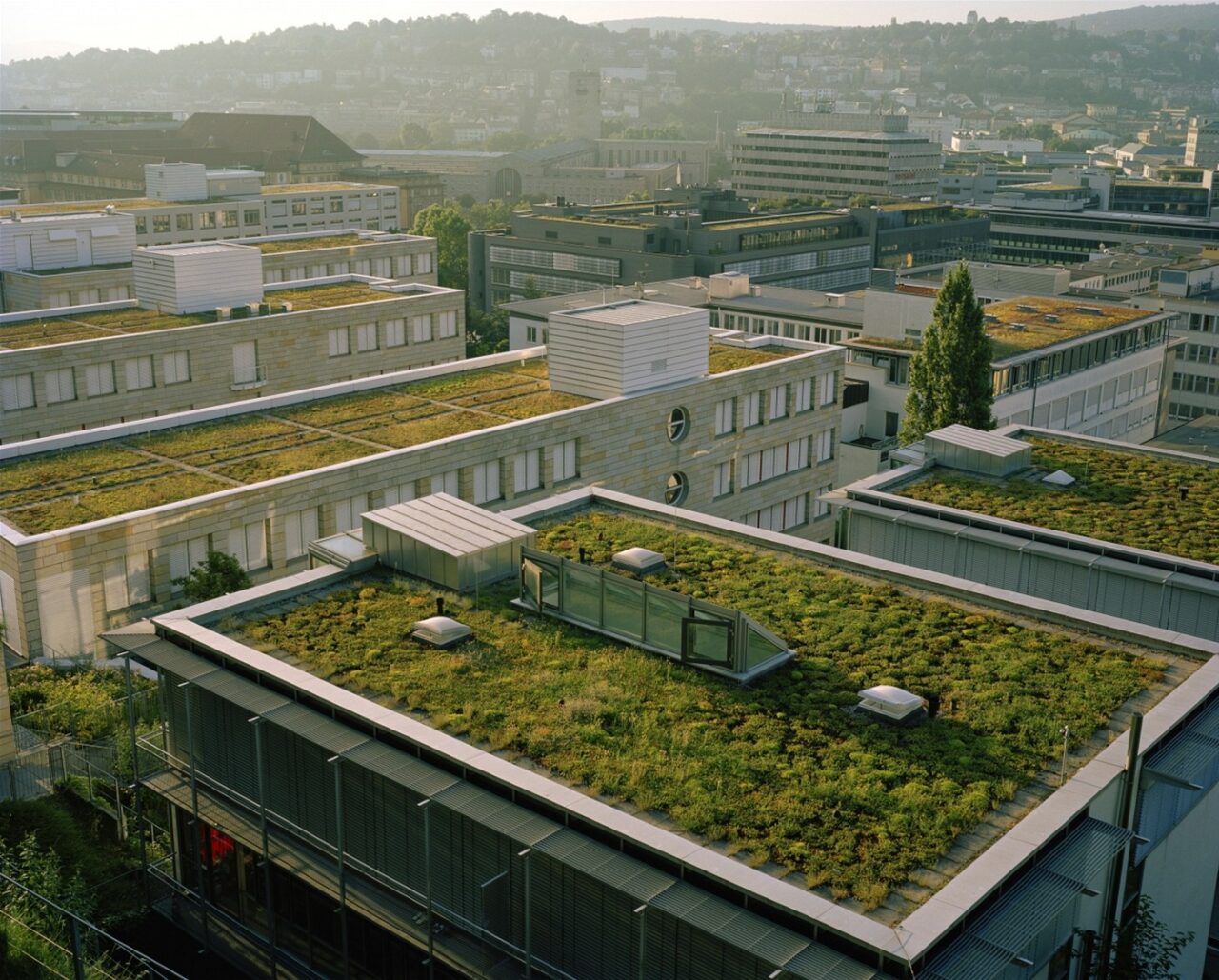 European Parliament highlights green roofs for climate change ...
