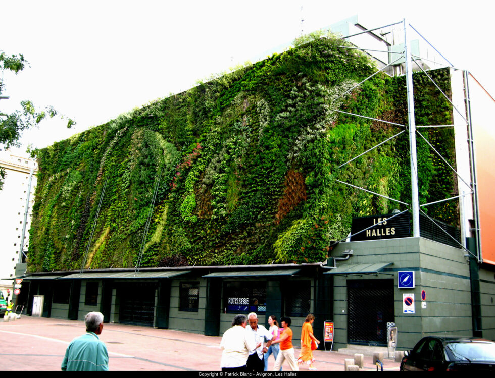 Key Definition: Living Wall - World Green Infrastructure Network
