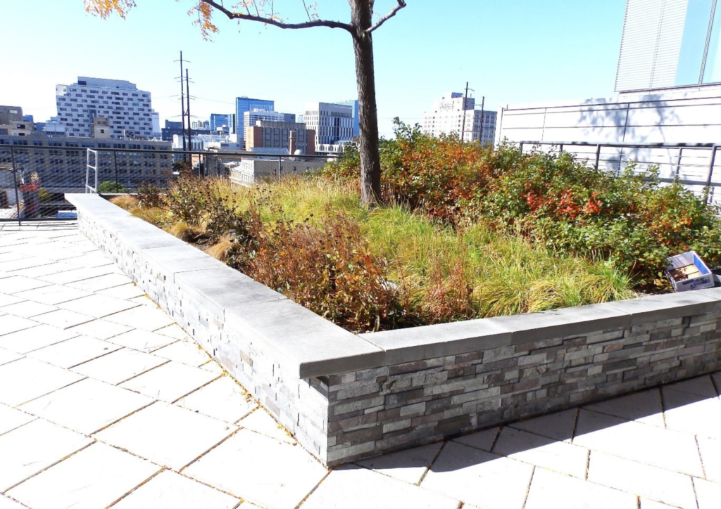 Greening projects in Philadelphia, highlighted at the Cities Alive ...