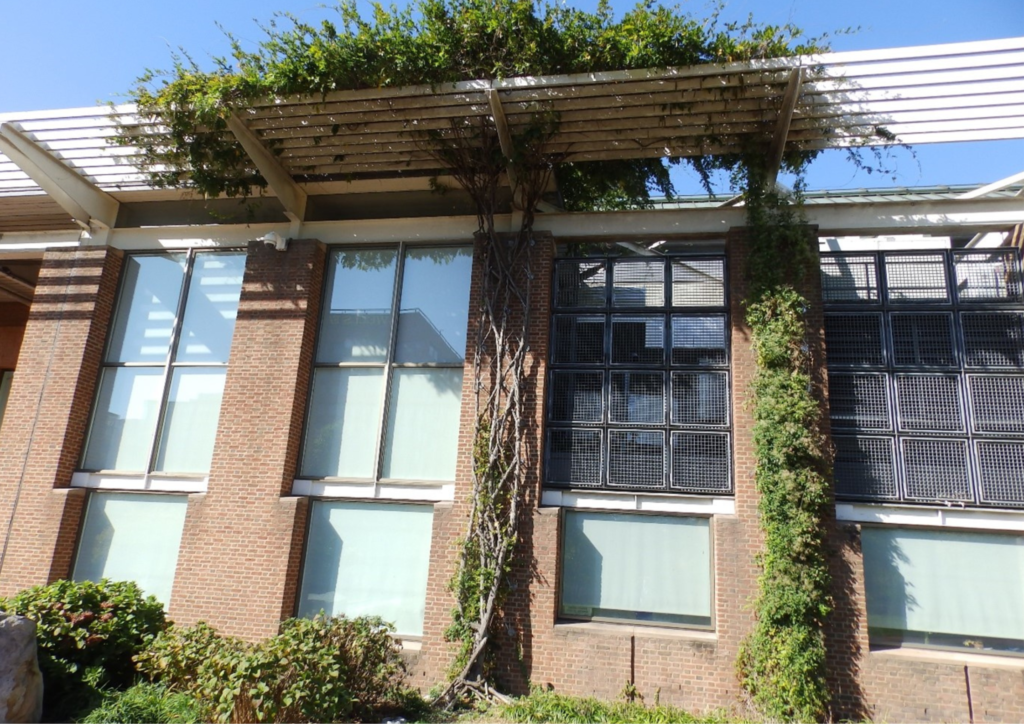 Greening projects in Philadelphia, highlighted at the Cities Alive ...