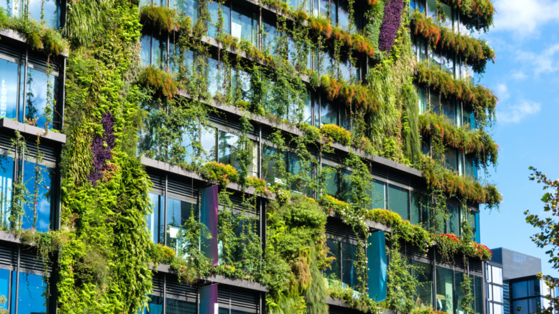 Home - World Green Infrastructure Network