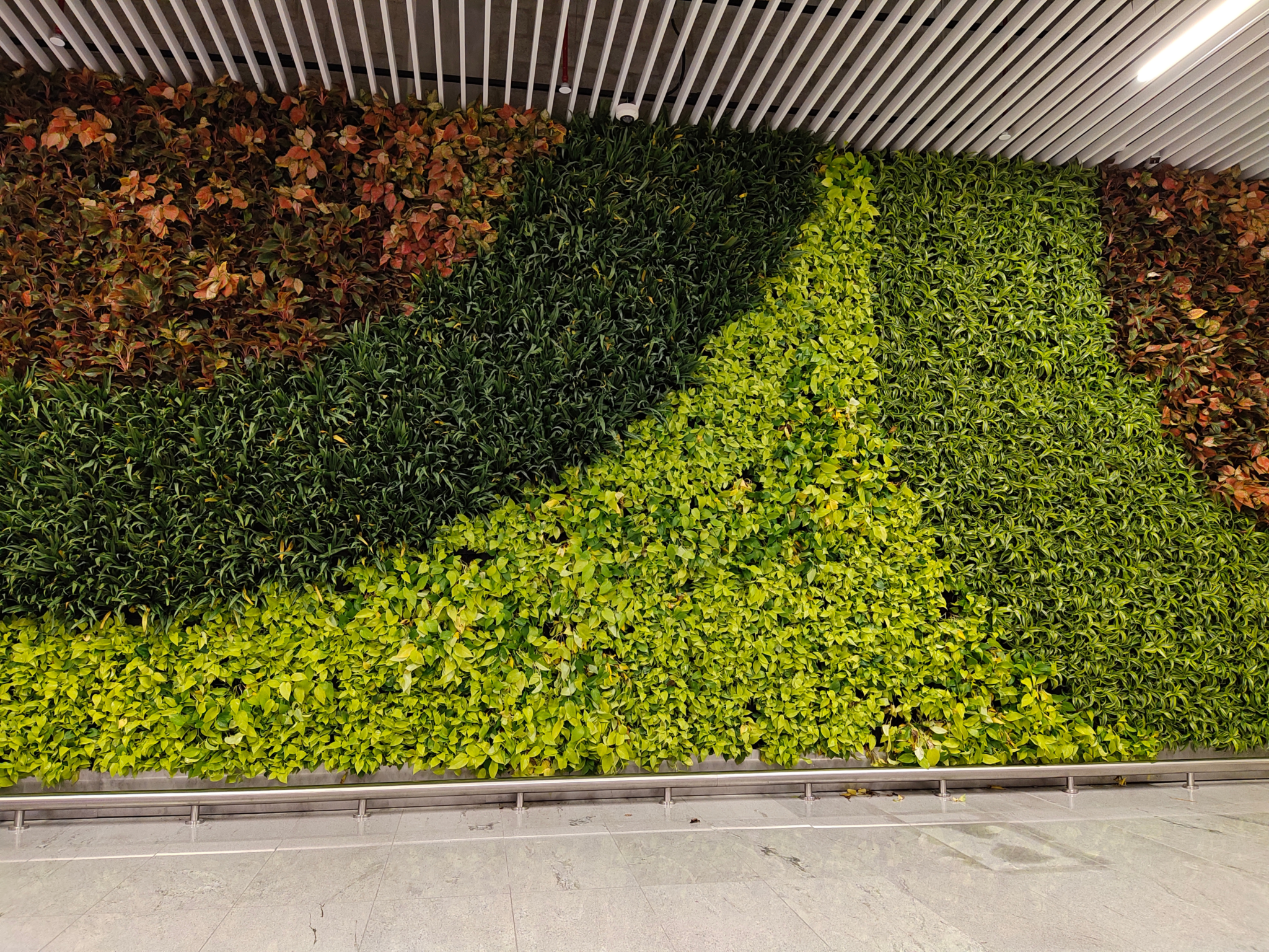 Green Wall Innovation: Transforming urban spaces - World Green ...
